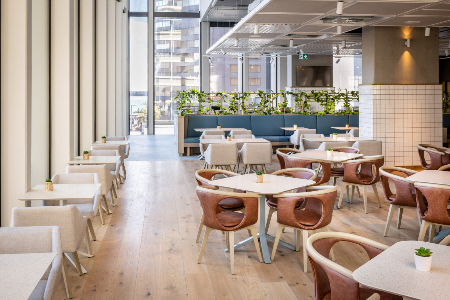 Holiday Inn Express Auckland city Centre opens its doors - NZ Business ...